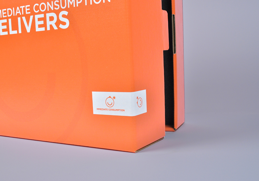 Agency Self Promotion Kit — shannonlyons.com