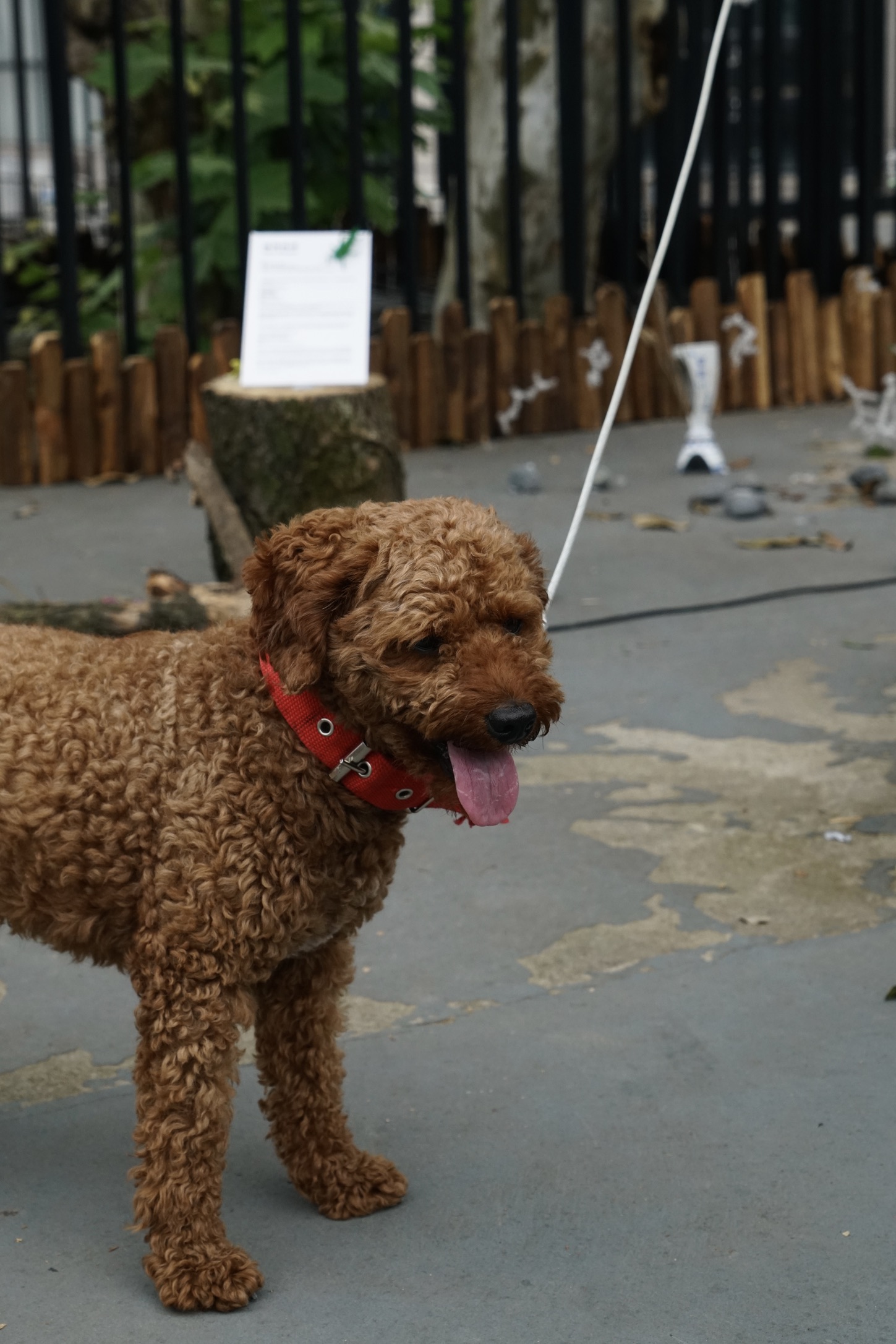 Plant Whisper x Taoxichuan Glass Studio 2022 — Wanlin Jiang