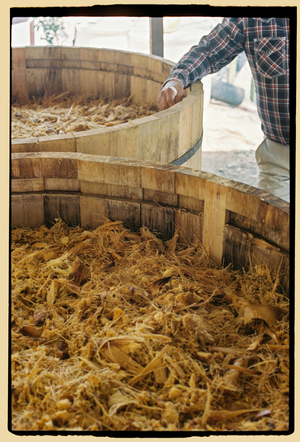 Yaha-Yahui Organic Mezcal