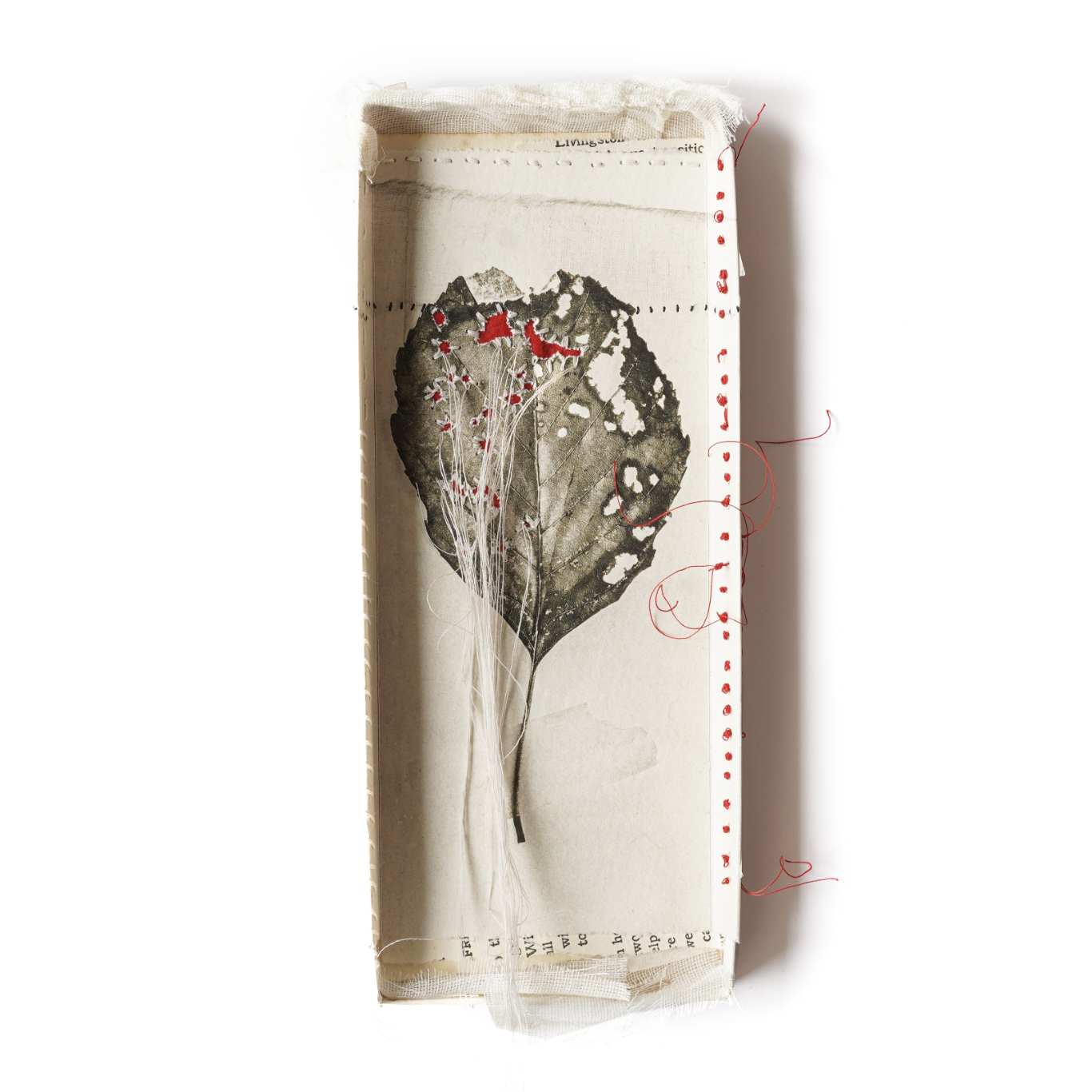 .thoughttrails — jackie mulder fotografie