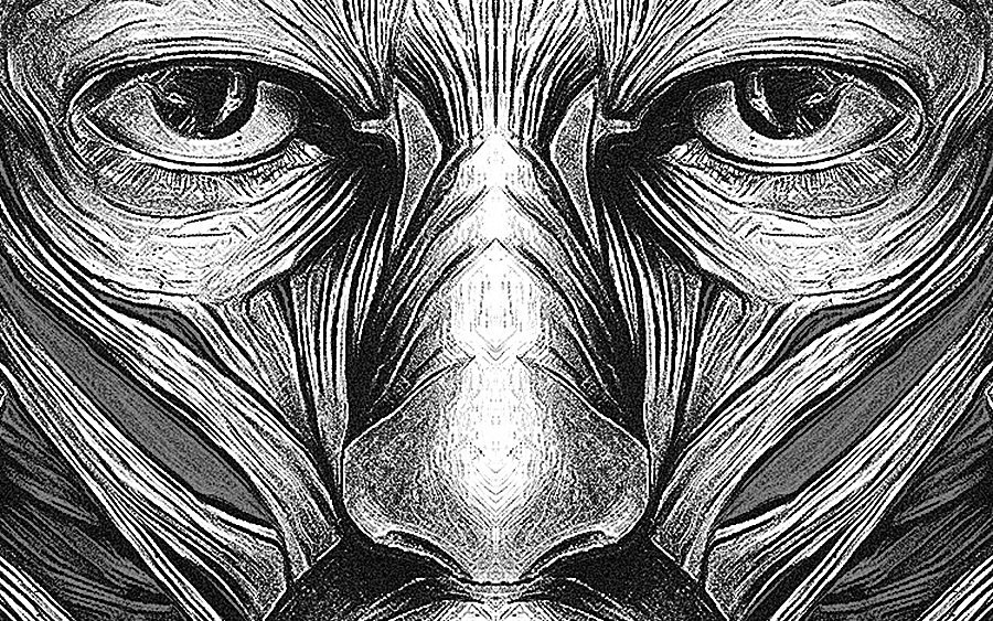 Tom Wysocki — Portfolio