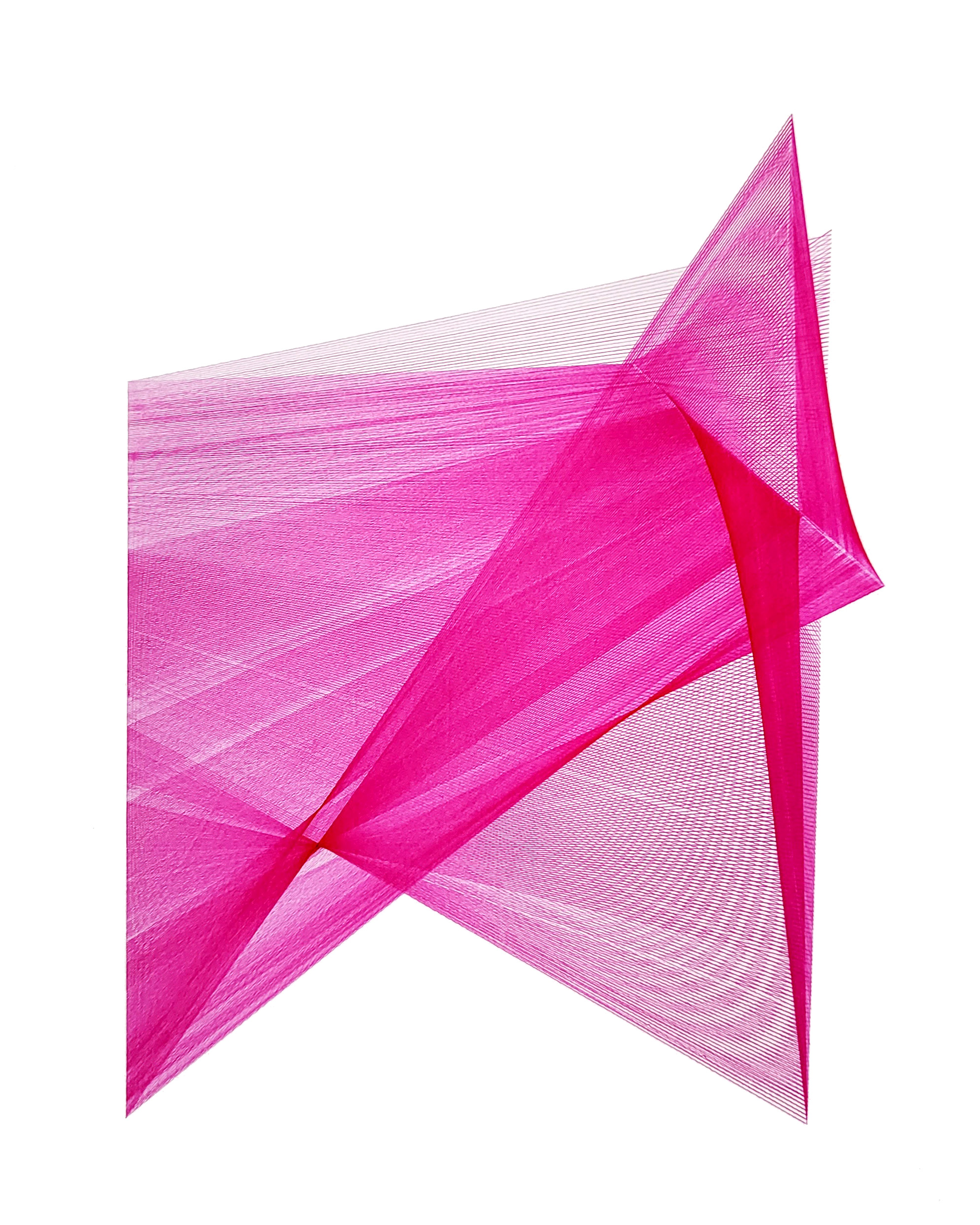 Pen Plotting — Aisha Cheema