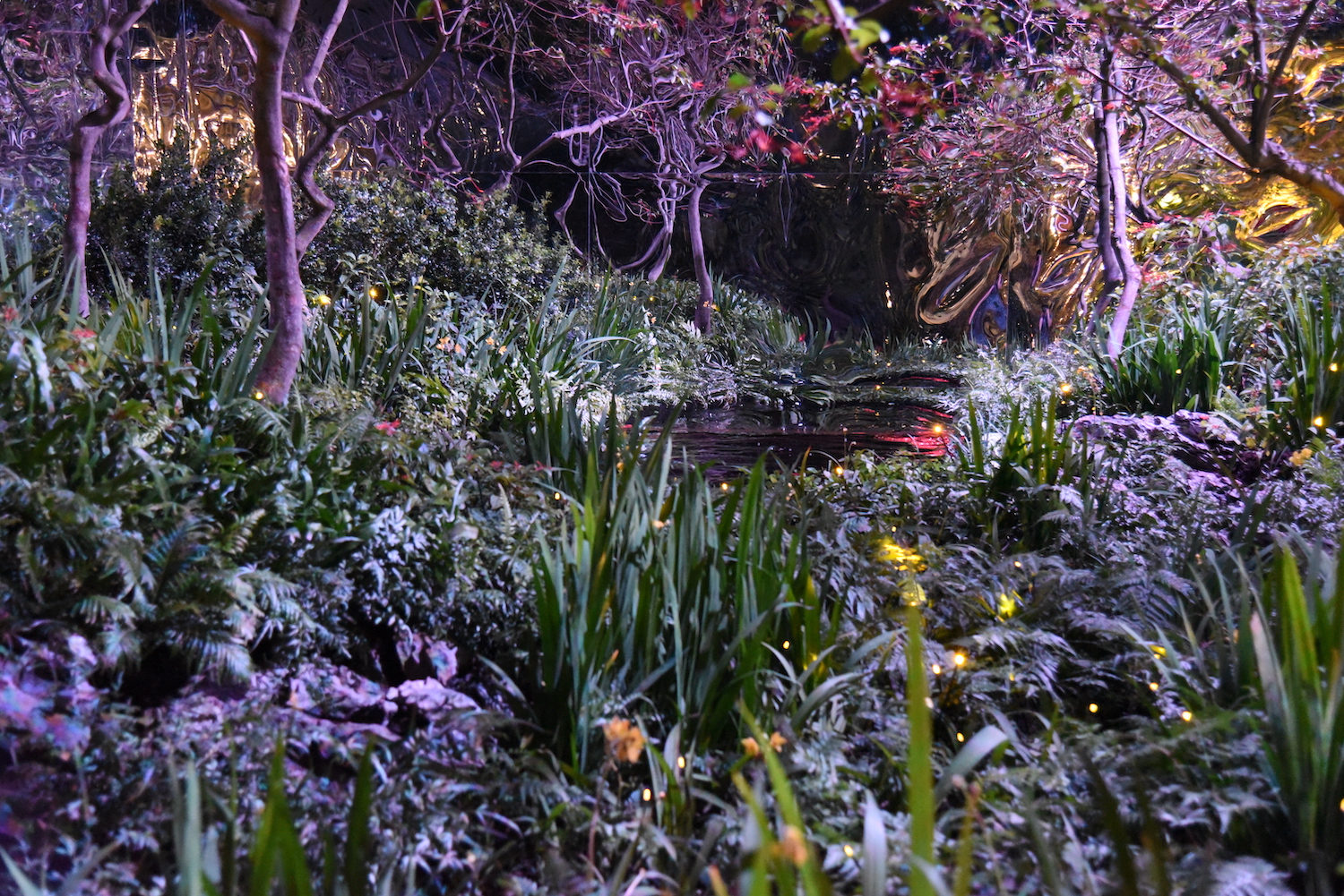 Lee Chang Ming - Artist & Photographer