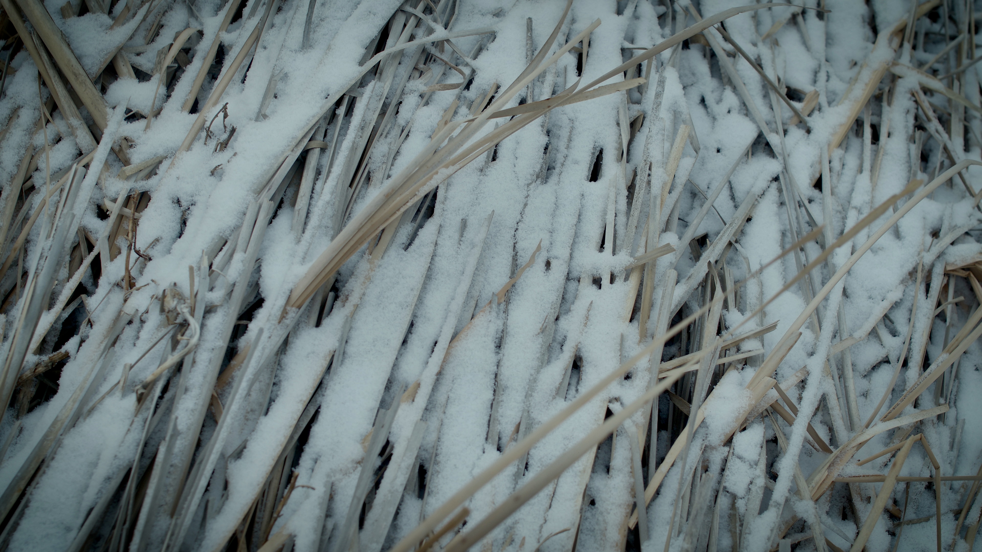 Tailgate Tales: Amber Blazina — Jasper Poore - Director of Phography