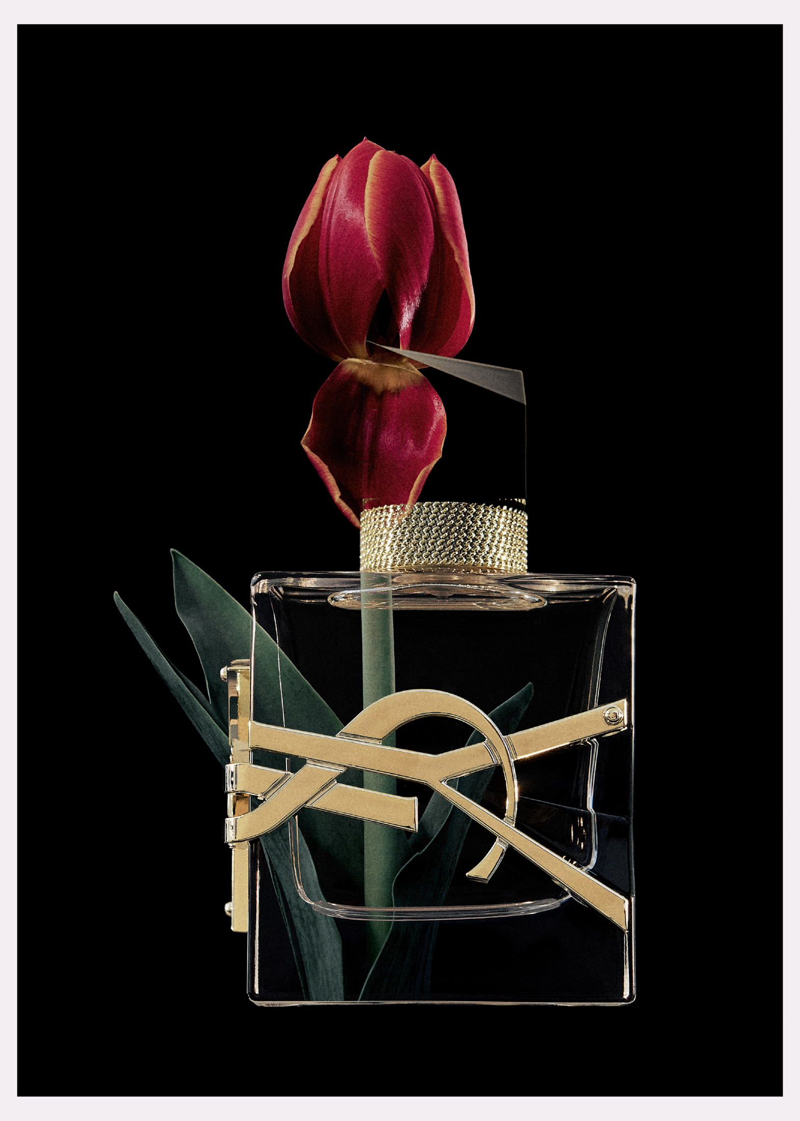 YSL Libre — Emily Jeanne