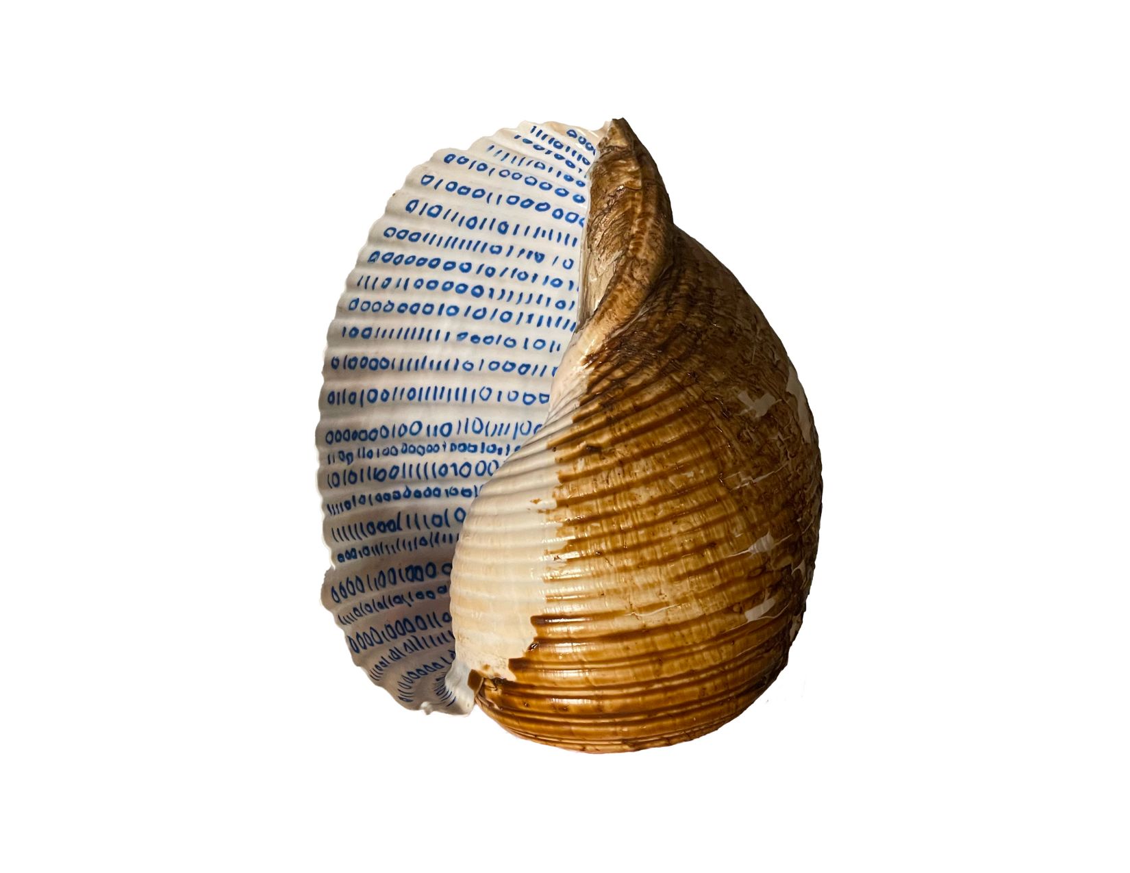 The Works of Matthew Prebeg