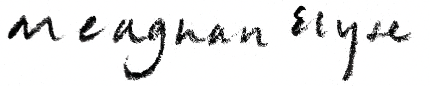 Meaghan Elyse – Artwork