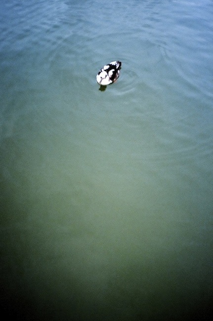 Here & There — Lee Chang Ming - Artist & Photographer