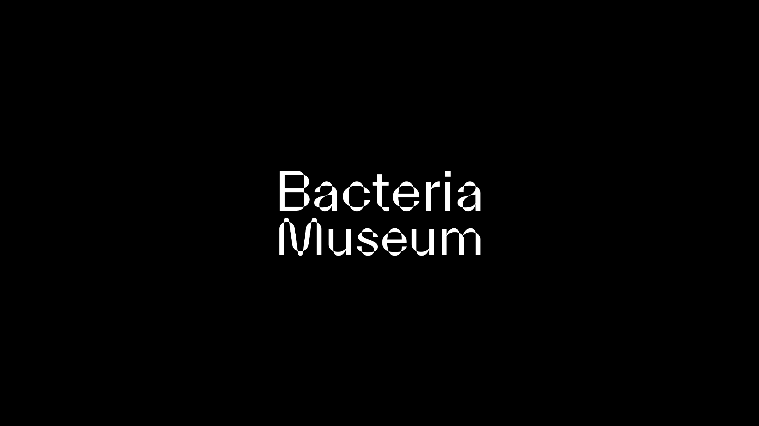 BacteriaMuseum — Jaeyou Chung