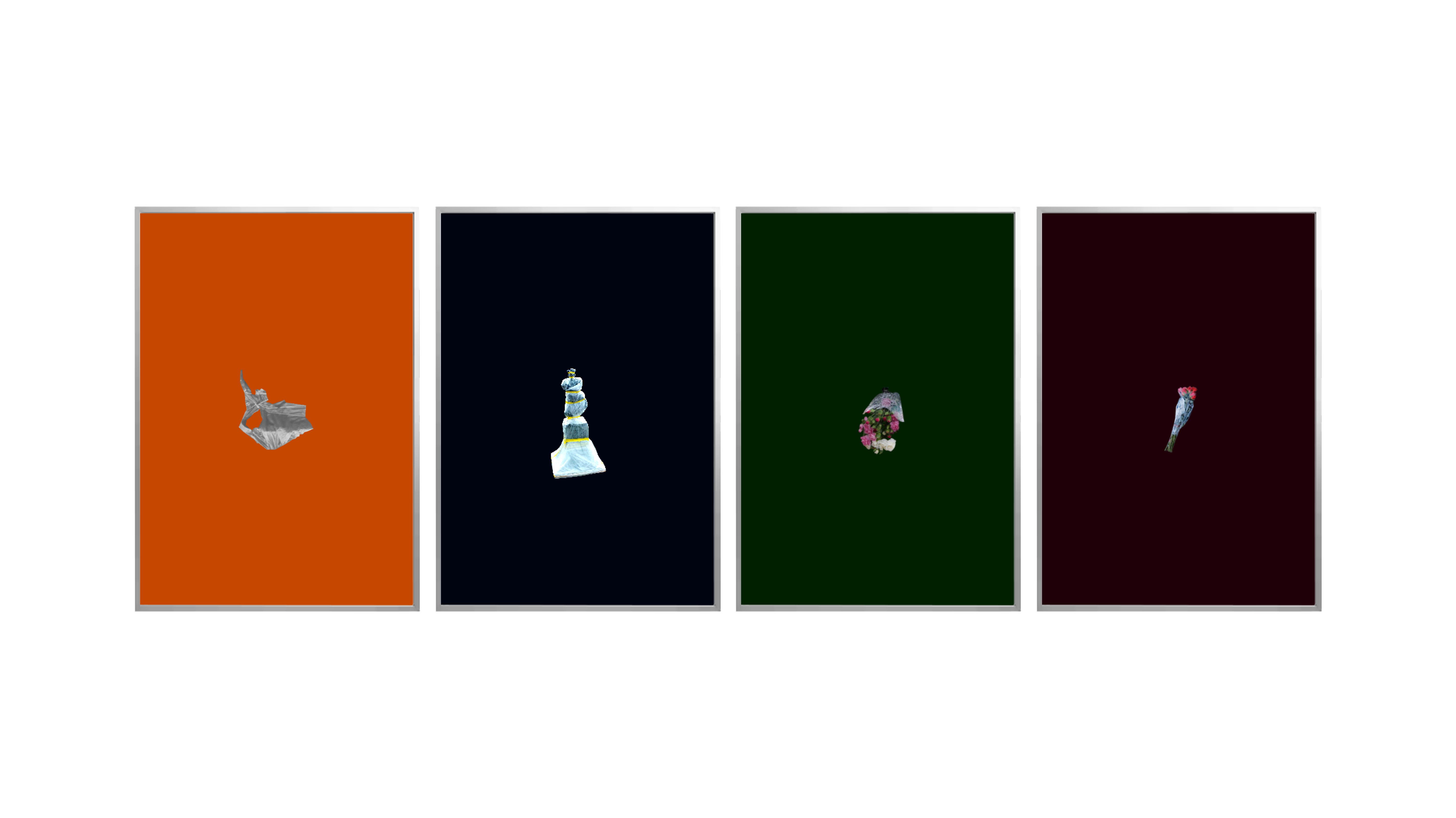 Lauda Virginia Vargas