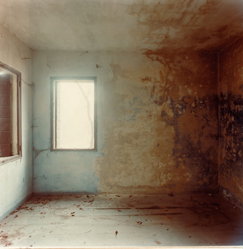 Guido Guidi: From the Interior — LargeGlass2021 Guido Guidi: From the Interior — LargeGlass2021