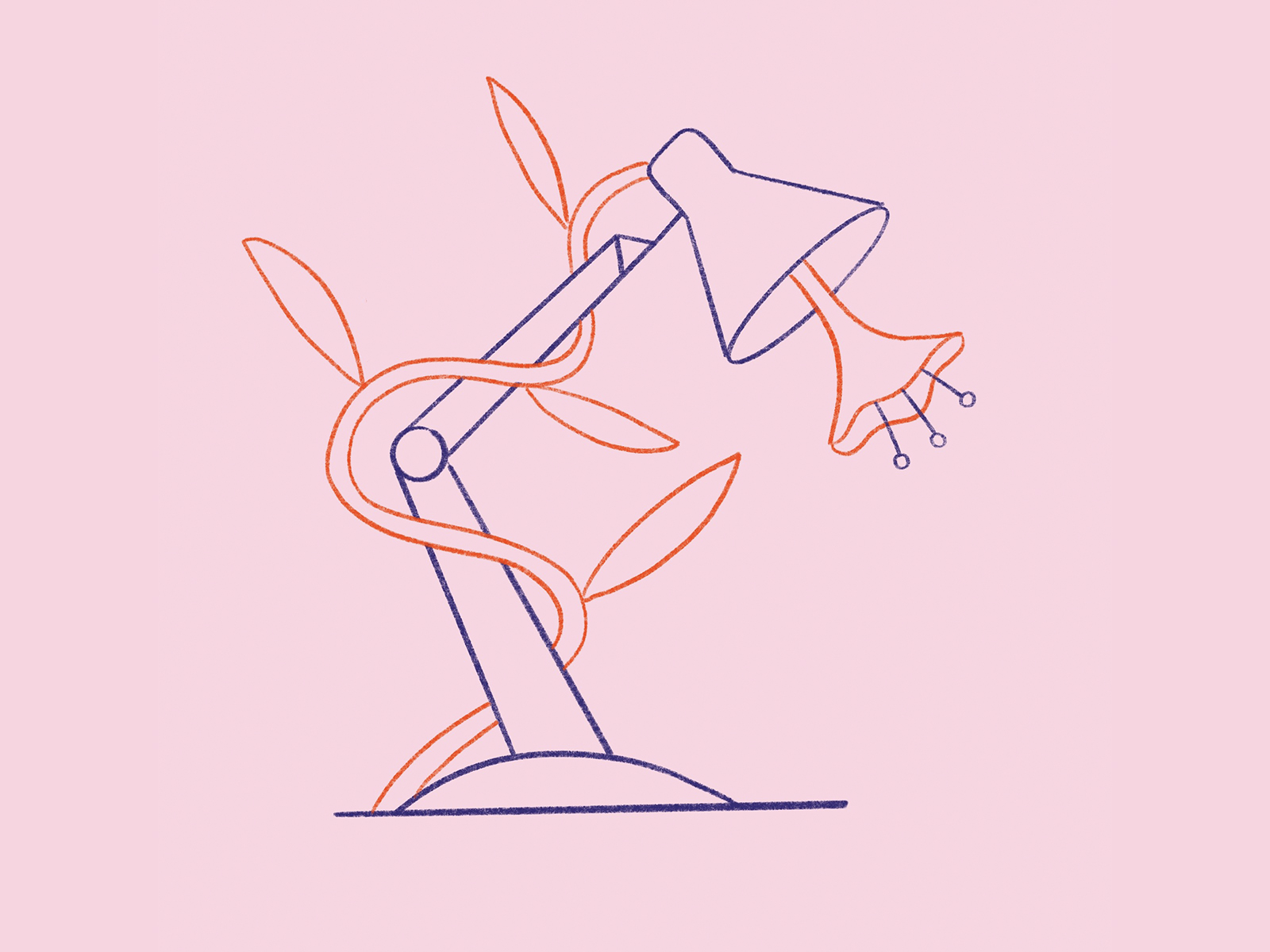 Timo Kuilder – Illustrator