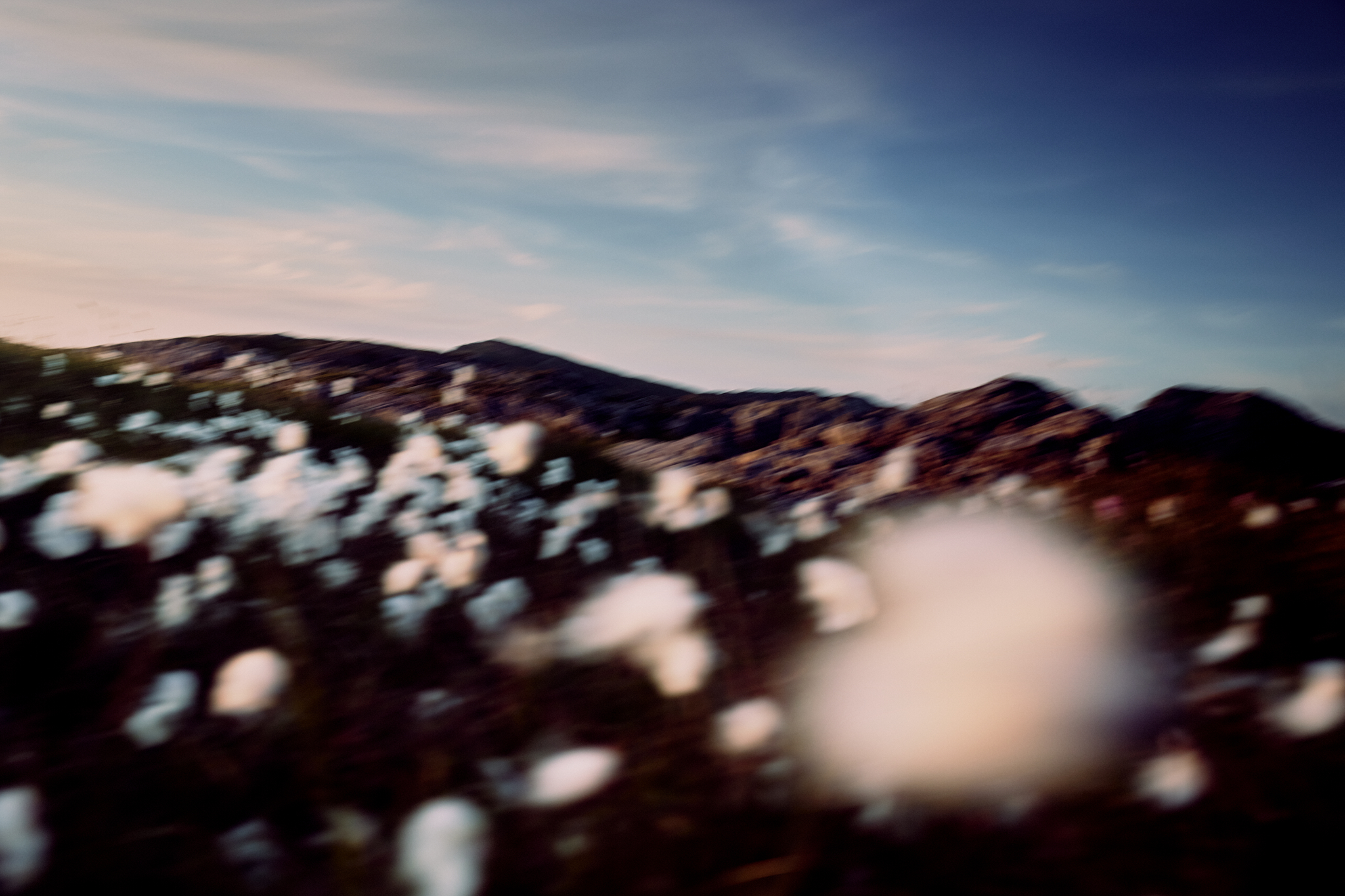 Barney Curran Photography