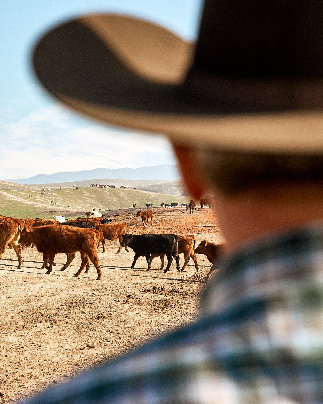 Sam Grant – Los Angeles Lifestyle, Portrait and Commercial Photographer