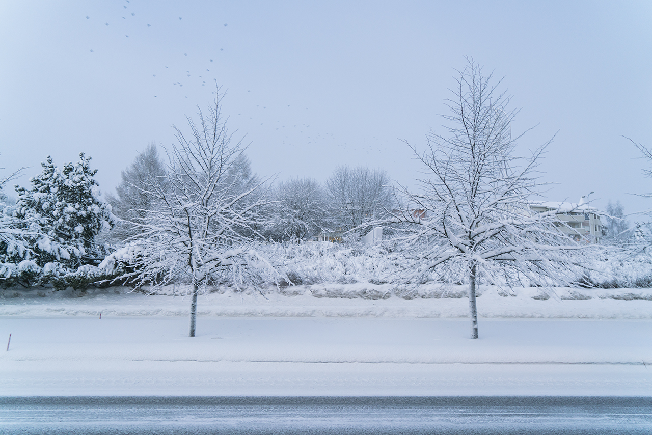 北 | Arctic — keyingchen