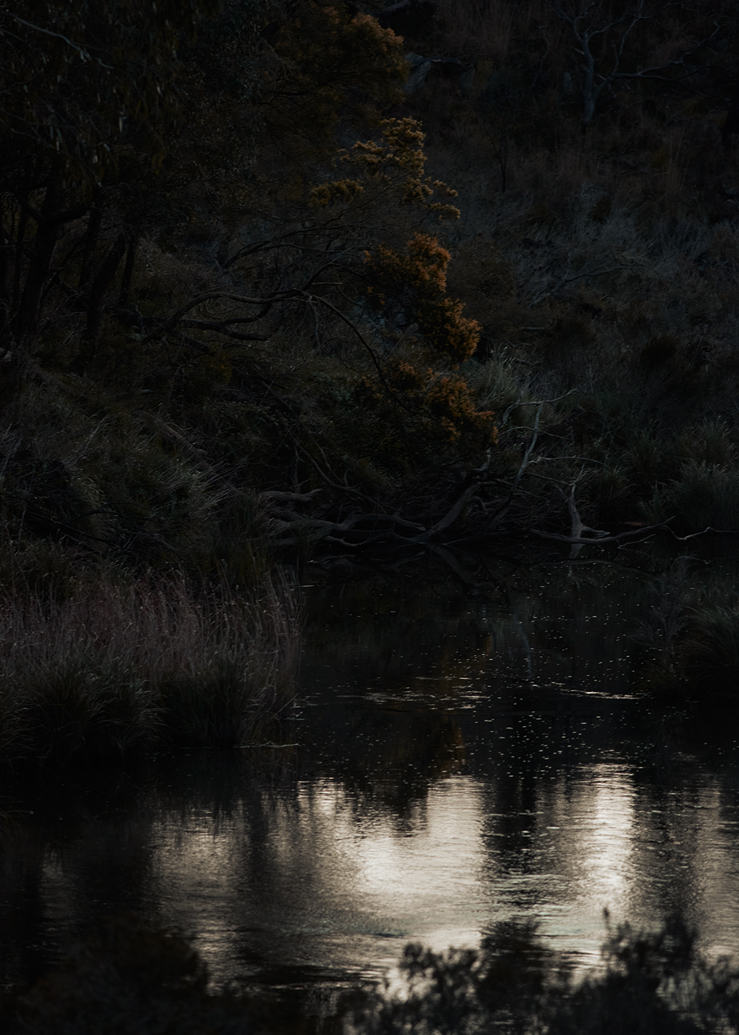 When We Hold Shadows — Alex Brunton