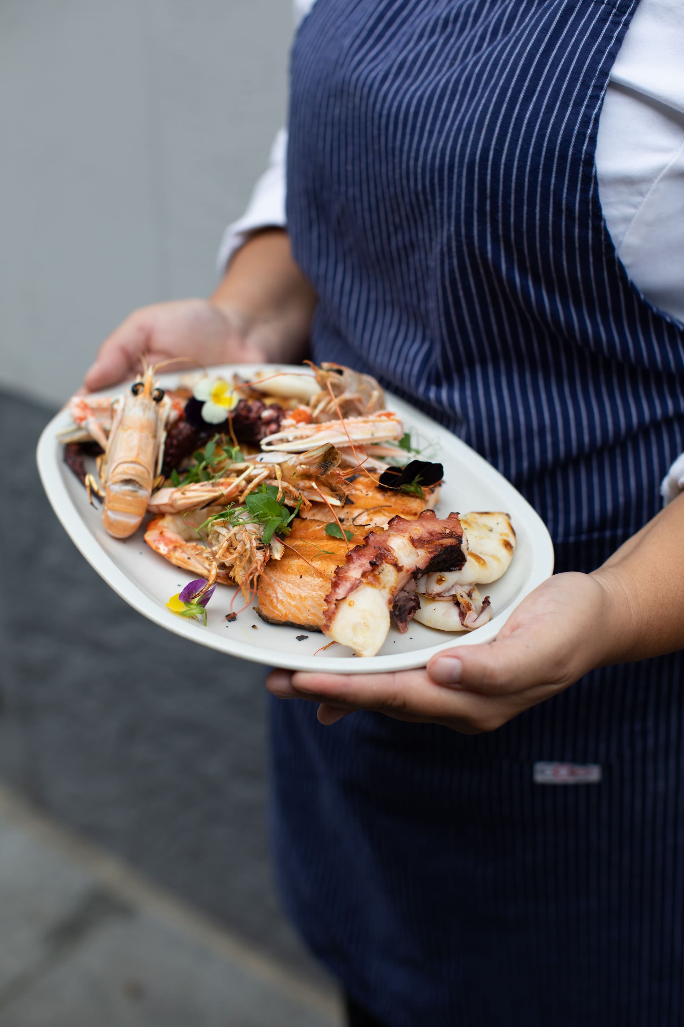 Papo Fish — Paolo Tortone