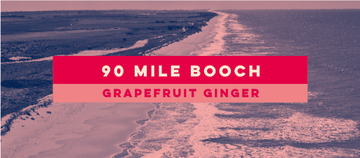 Beach Booch | Hard Kombucha