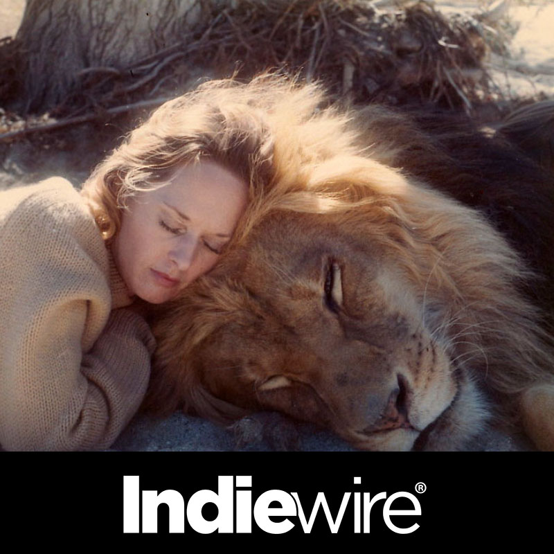 Emily Buder: Writer, Film Professional