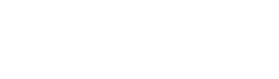 Robin Comisar — IMPOSTER