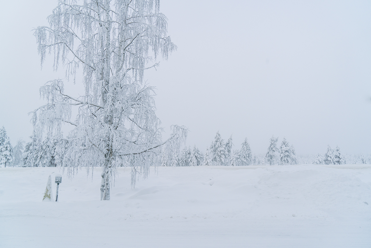 北 | Arctic — keyingchen