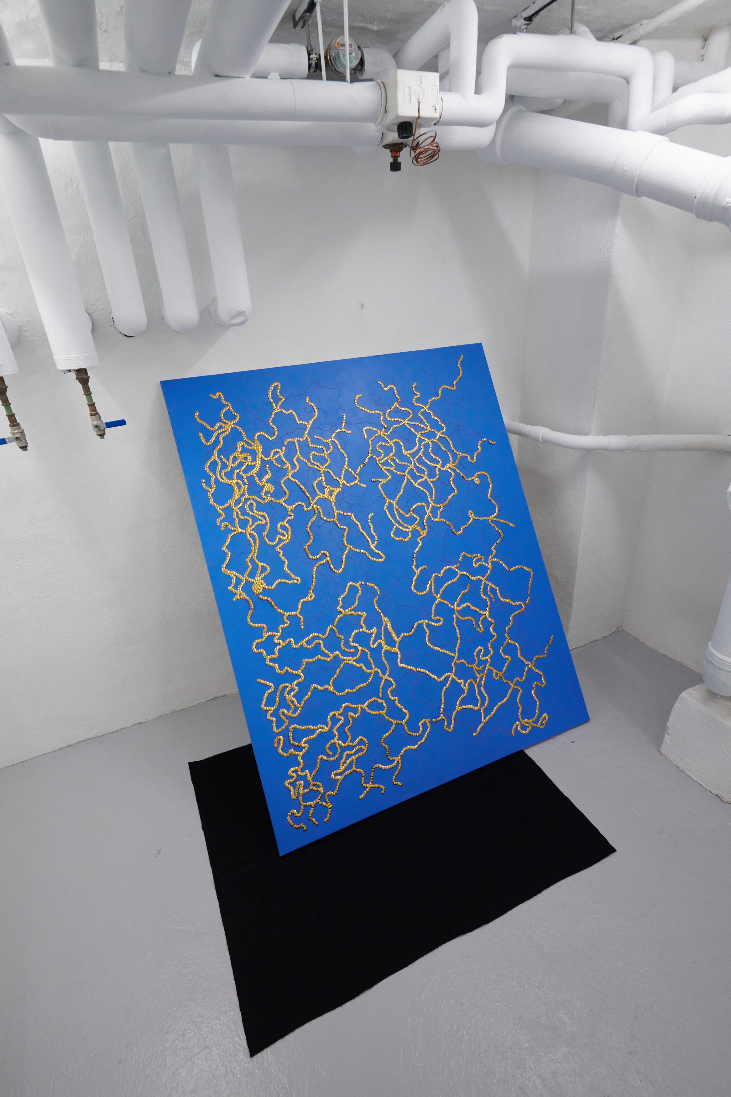 Lauda Virginia Vargas