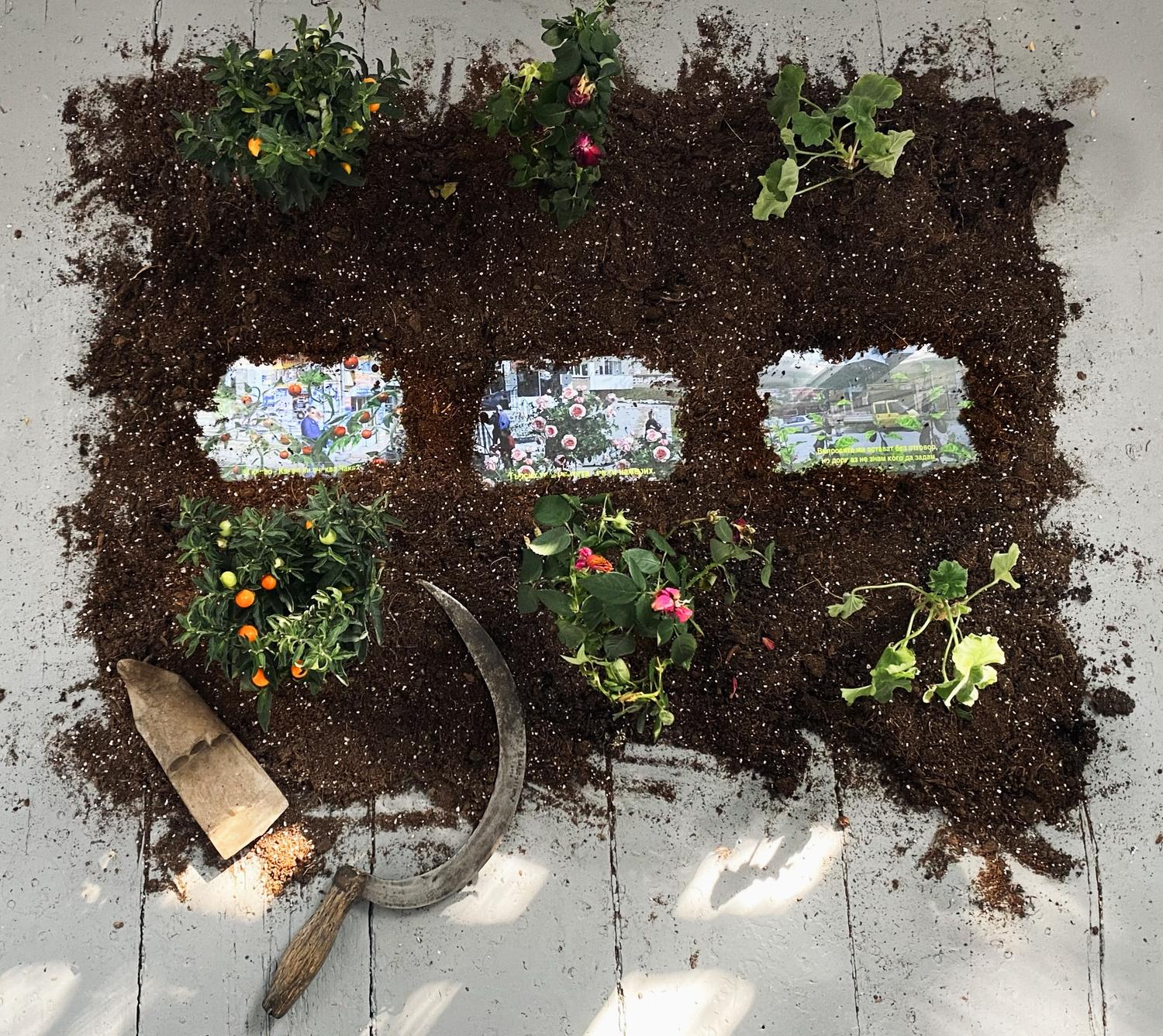 Desktop — SANDRA ZANETTI'S PORTFOLIO