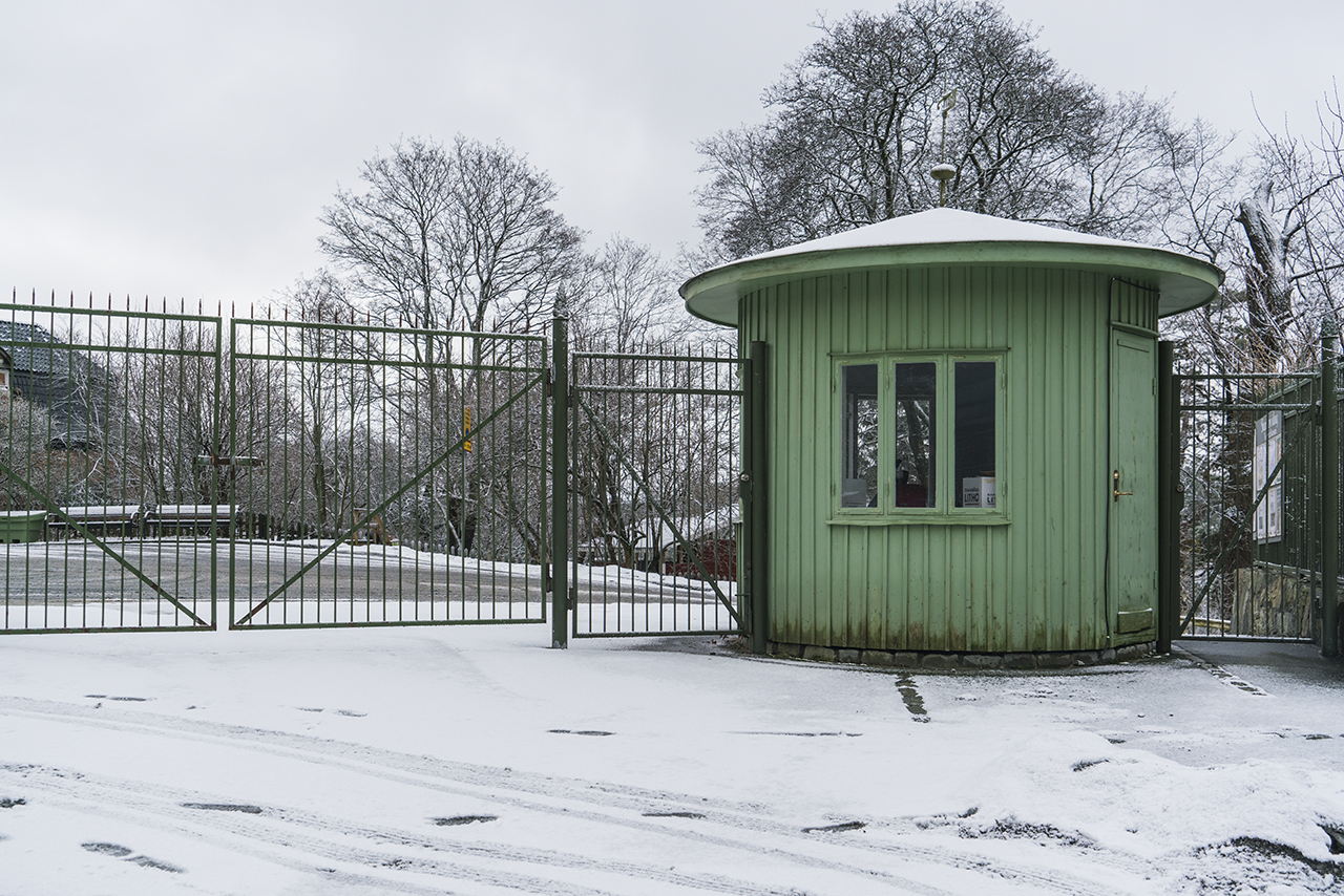 北 | Arctic — keyingchen