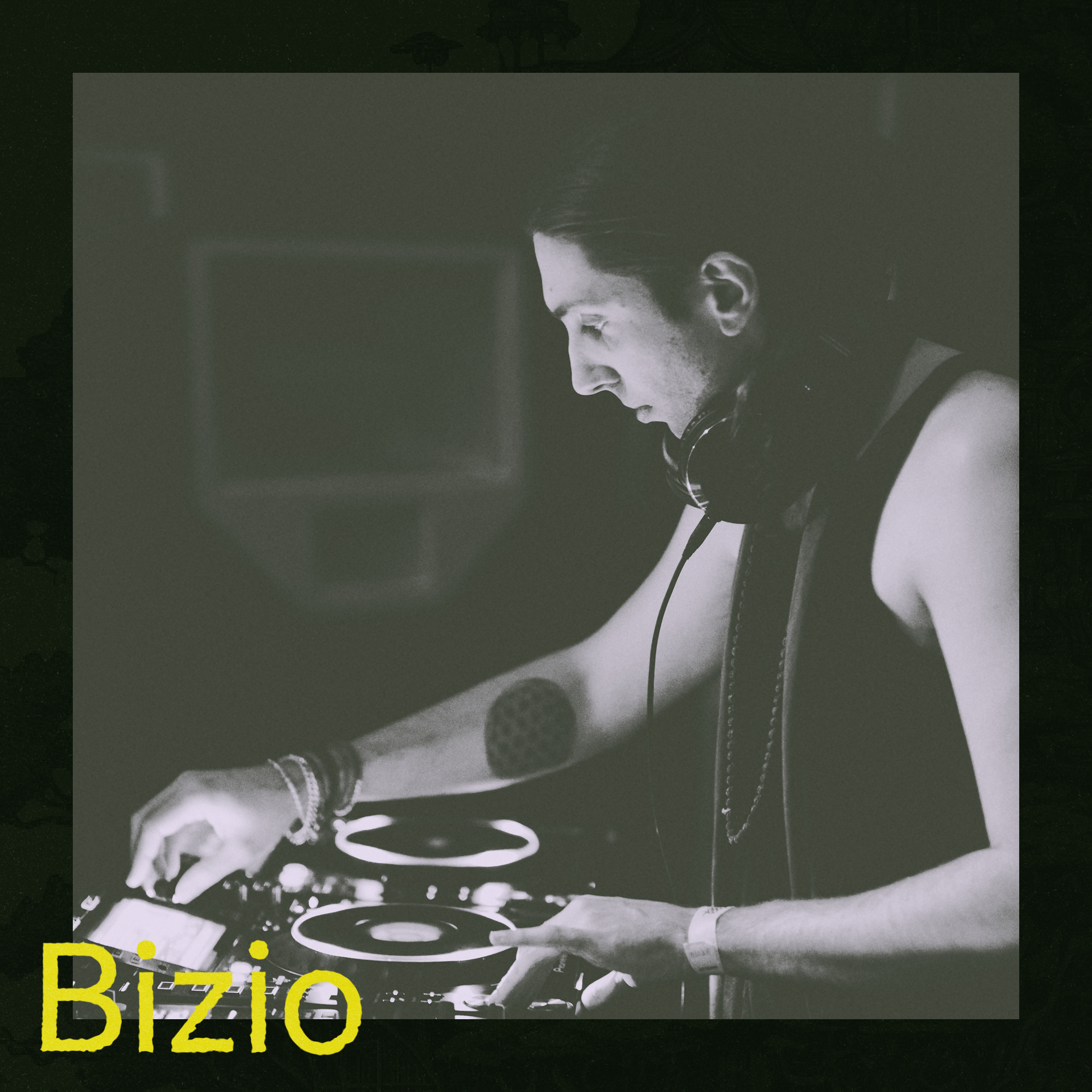 Osmosis in the trees 2023