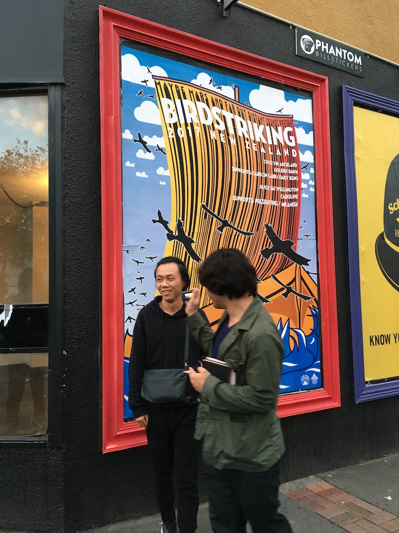 Birdstriking 2017 NZ Tour Poster — S.M.B design