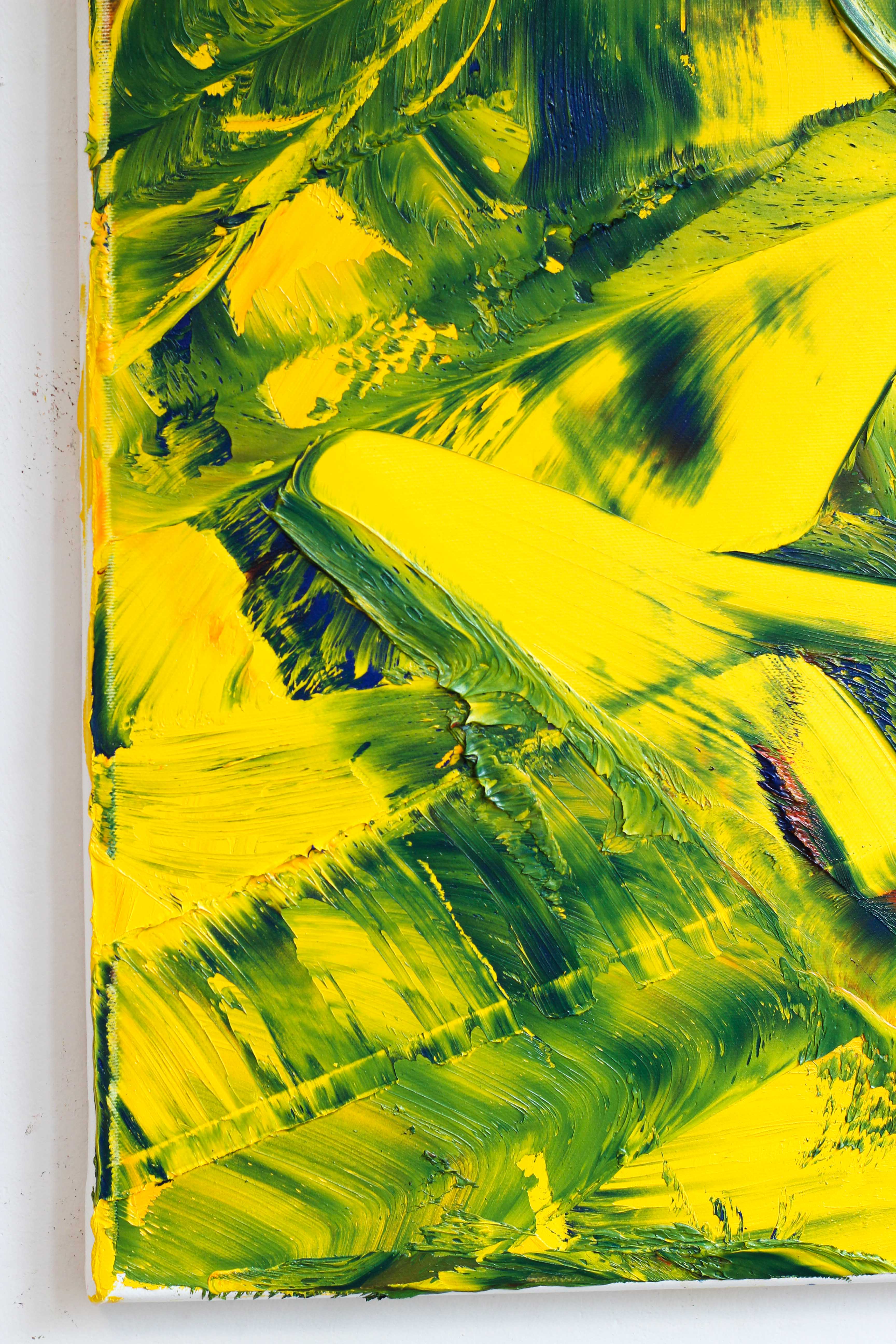 Collect — Tássia Bianchini