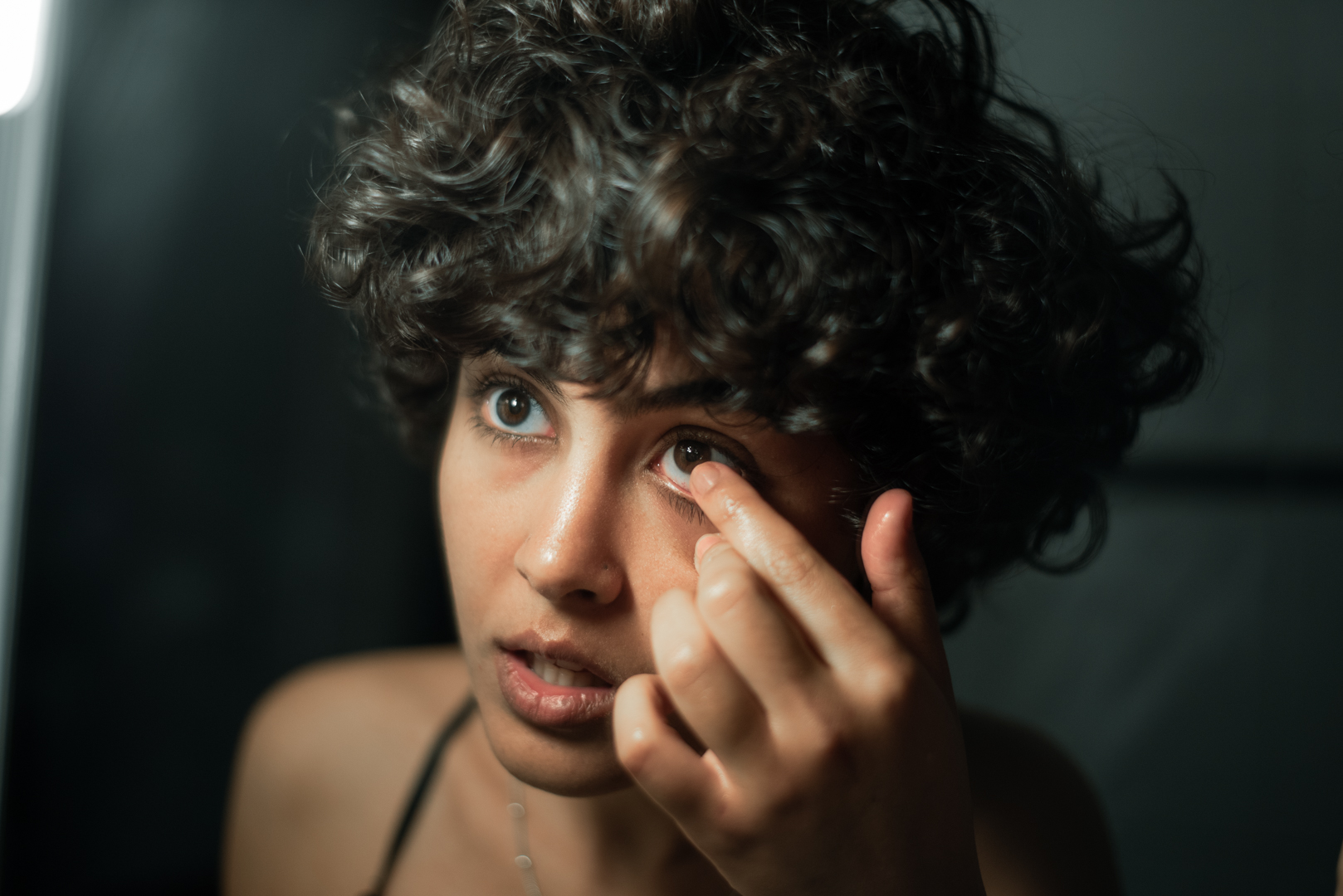 Projects — Dina El- Zeneiny