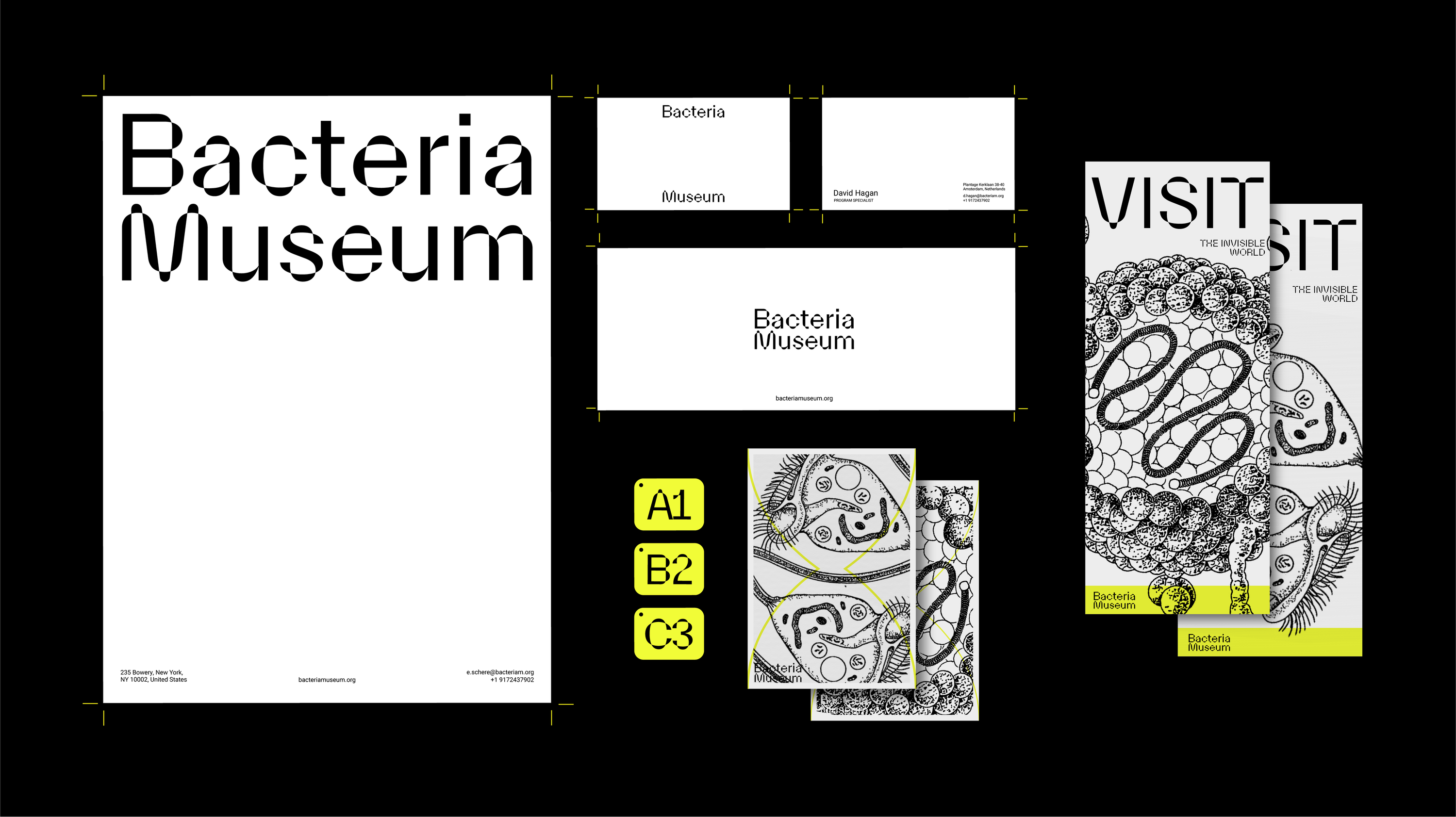 BacteriaMuseum — Jaeyou Chung