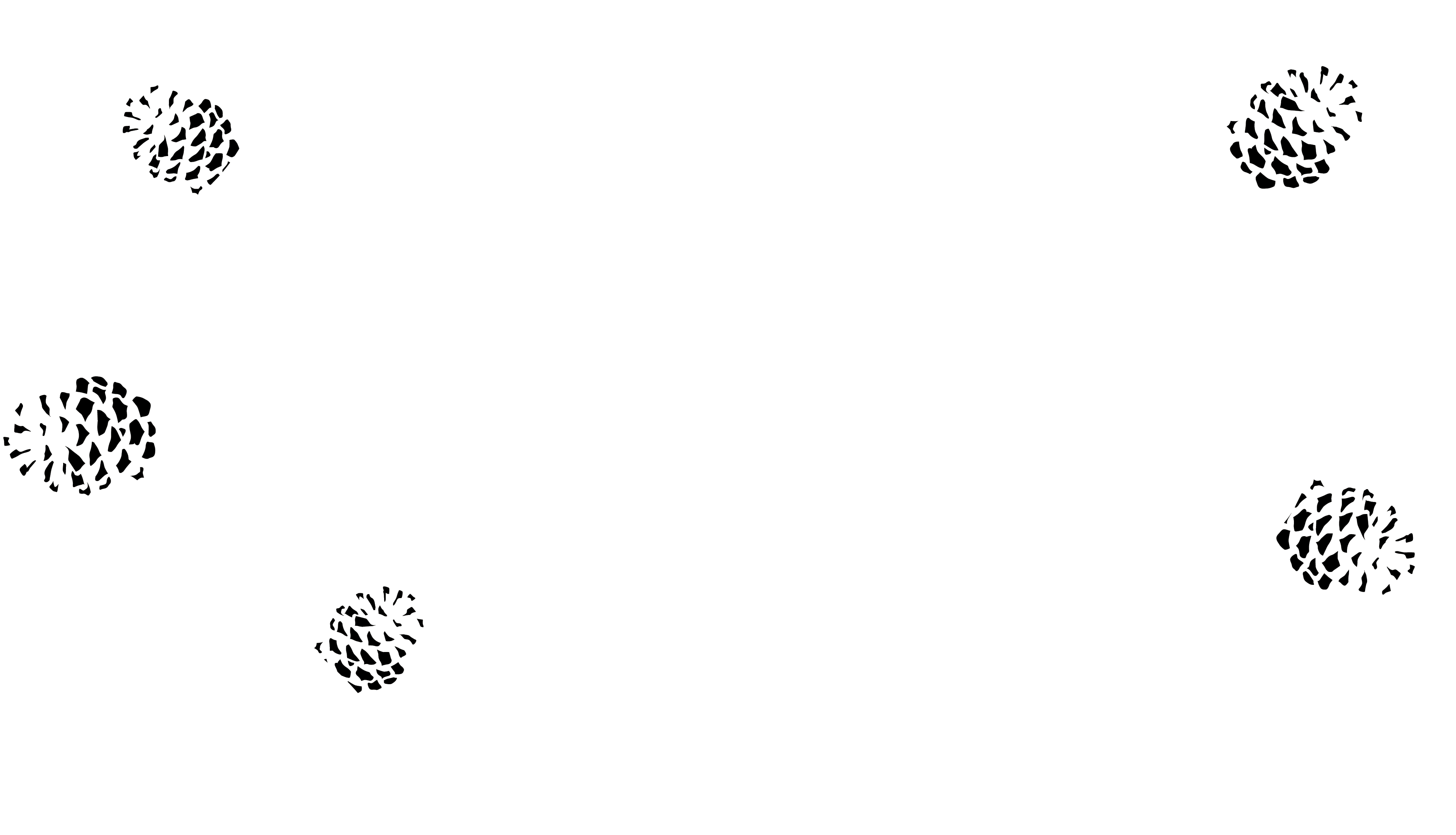 PREP — Robert Bevis