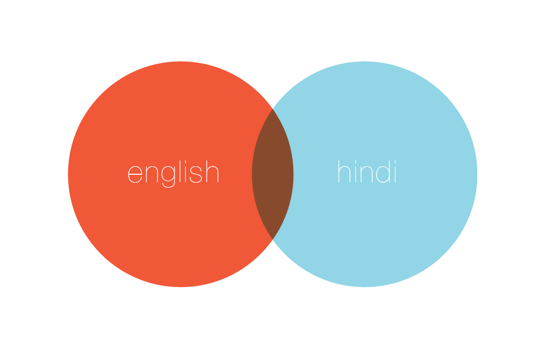 The Hinglish Project — shirin johari