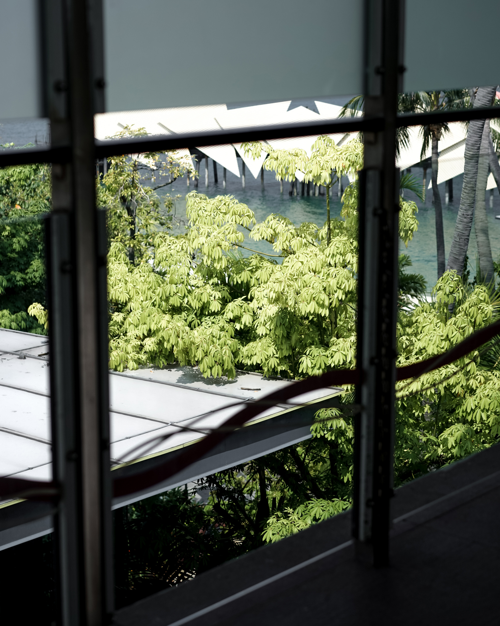 Restorative Topophilia — Chen Chuanduan