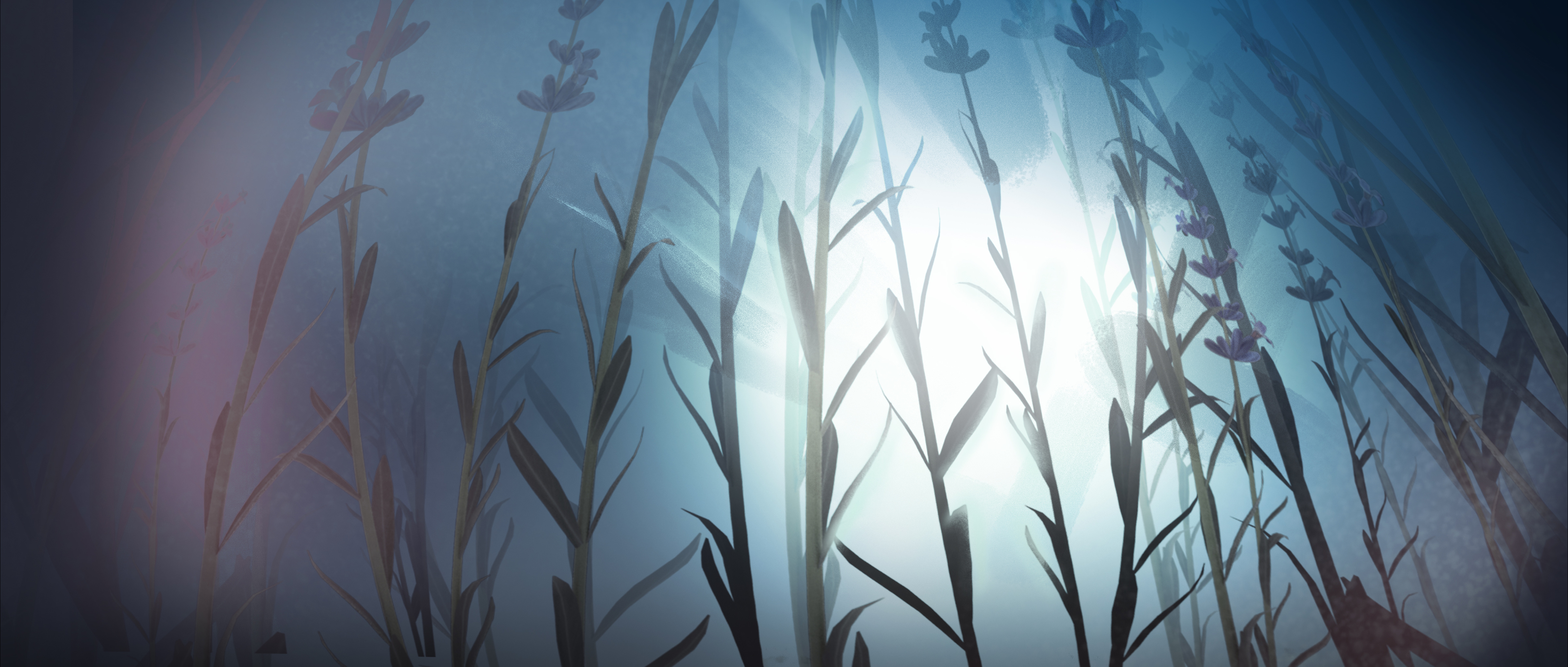 Between Spaces (Short Film) — sebastian kawar