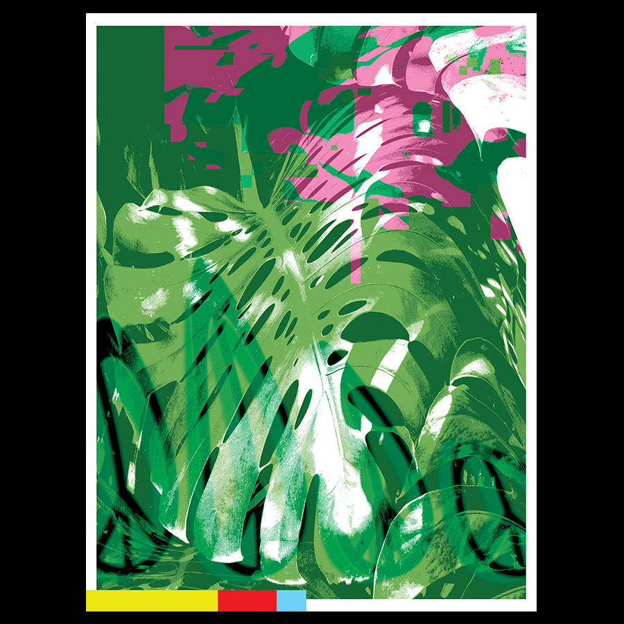 Sam Jayne Art Direction & Design