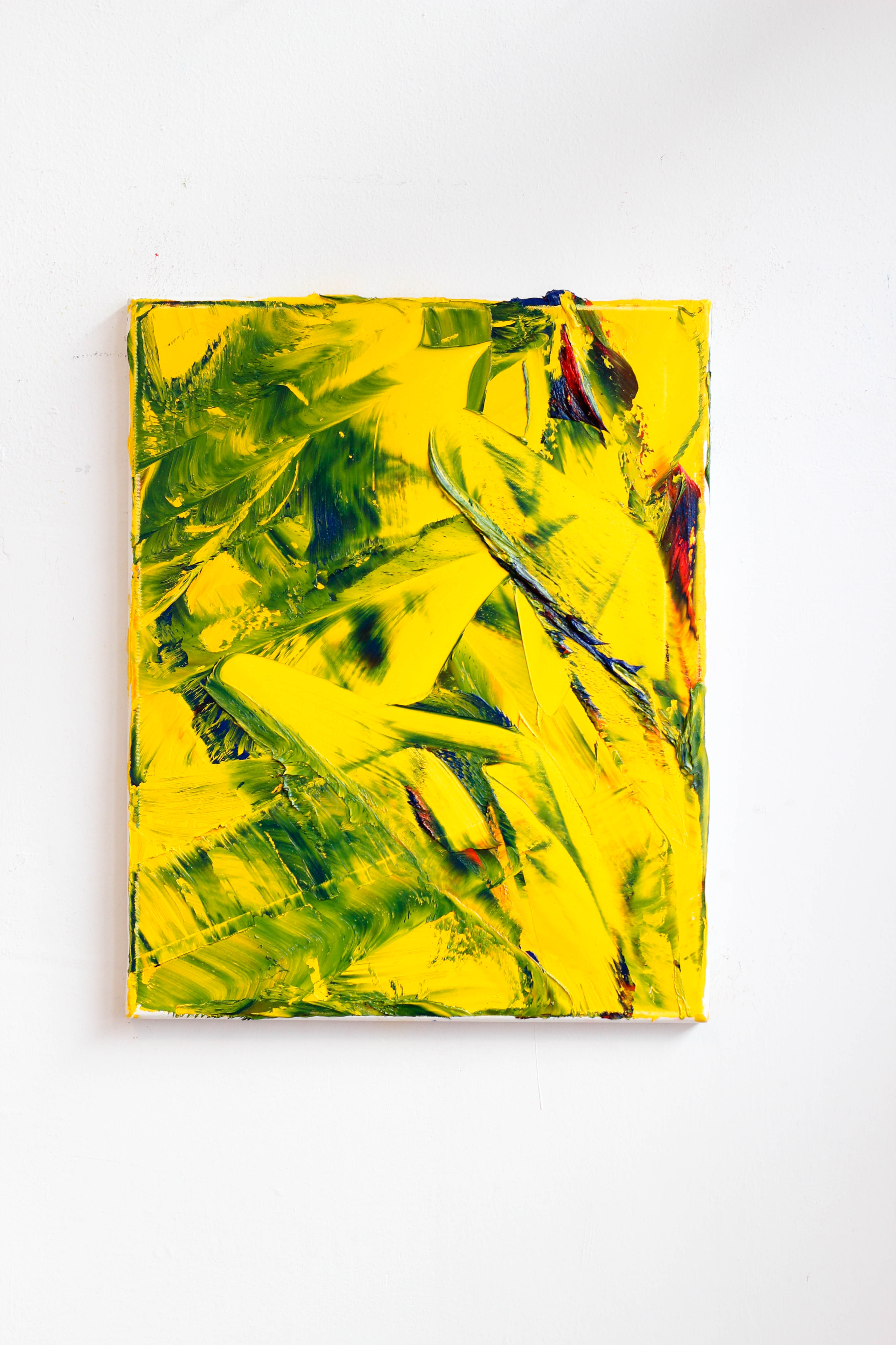 Collect — Tássia Bianchini