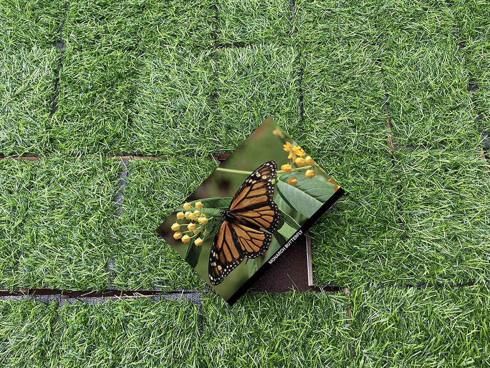 Turf Table — Warp Design