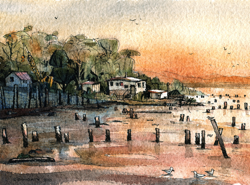 pnw — eleanor doughty