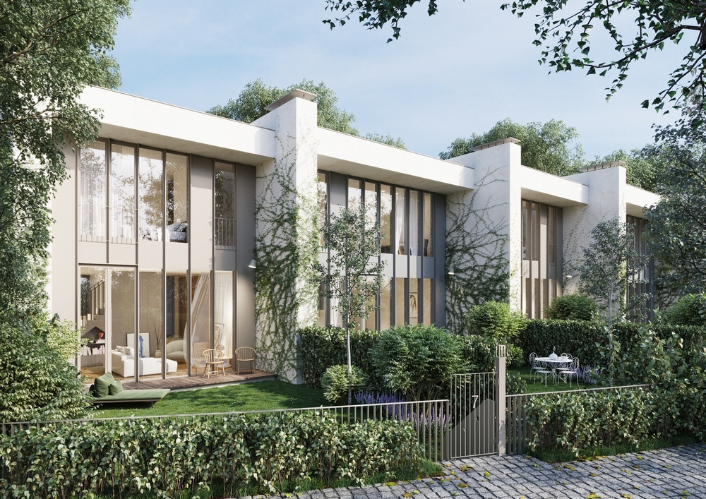 AMBER FOREST — adnba