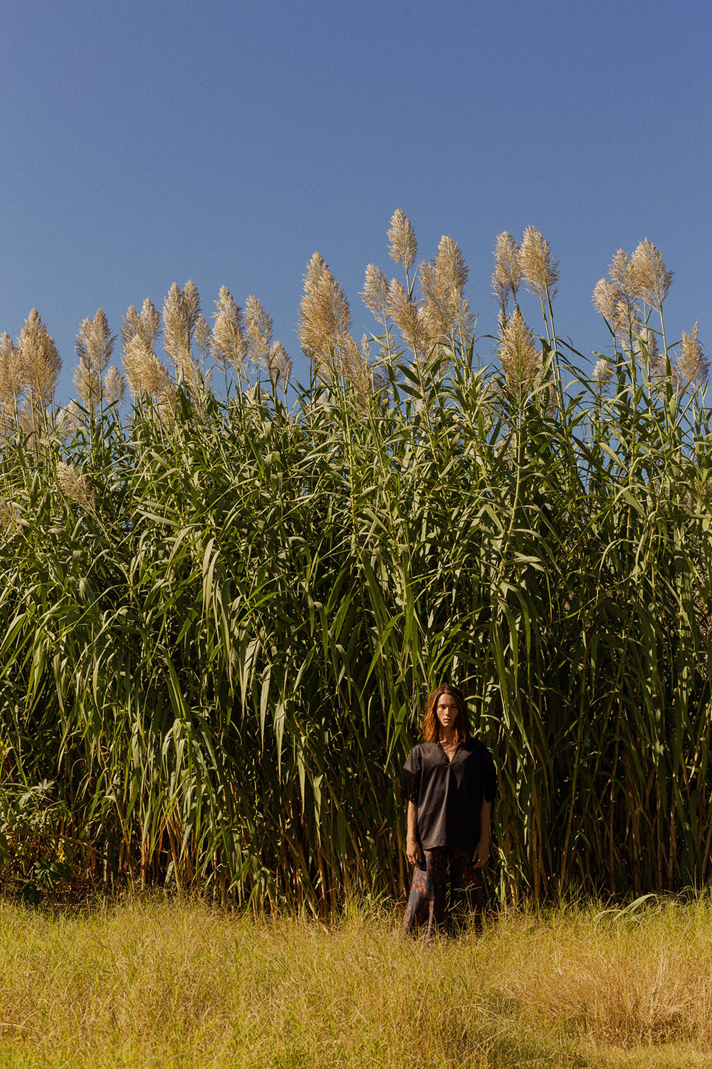 Shannon — Mora Dorrego