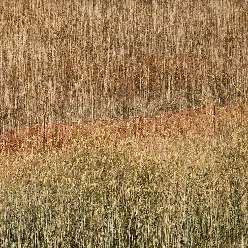 Stuart McCall - Extrinsic Landscapes — Toronto Met Department of ...