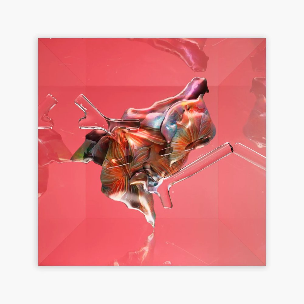 Honey Fungus: Specimens — Jonah King | Immersive Art, Film, VR, Sculpture