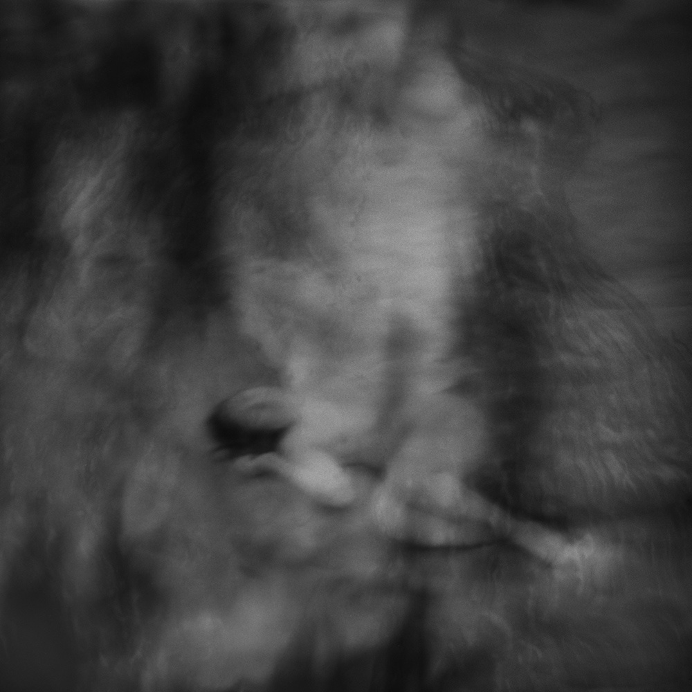 convergence — Michael Ash Smith