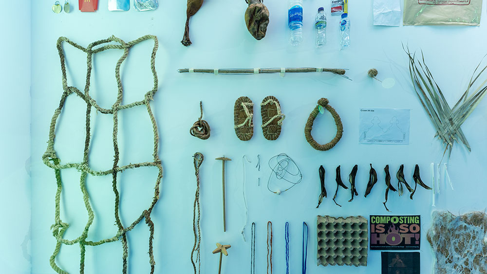 Shedding — Adrian Pepe