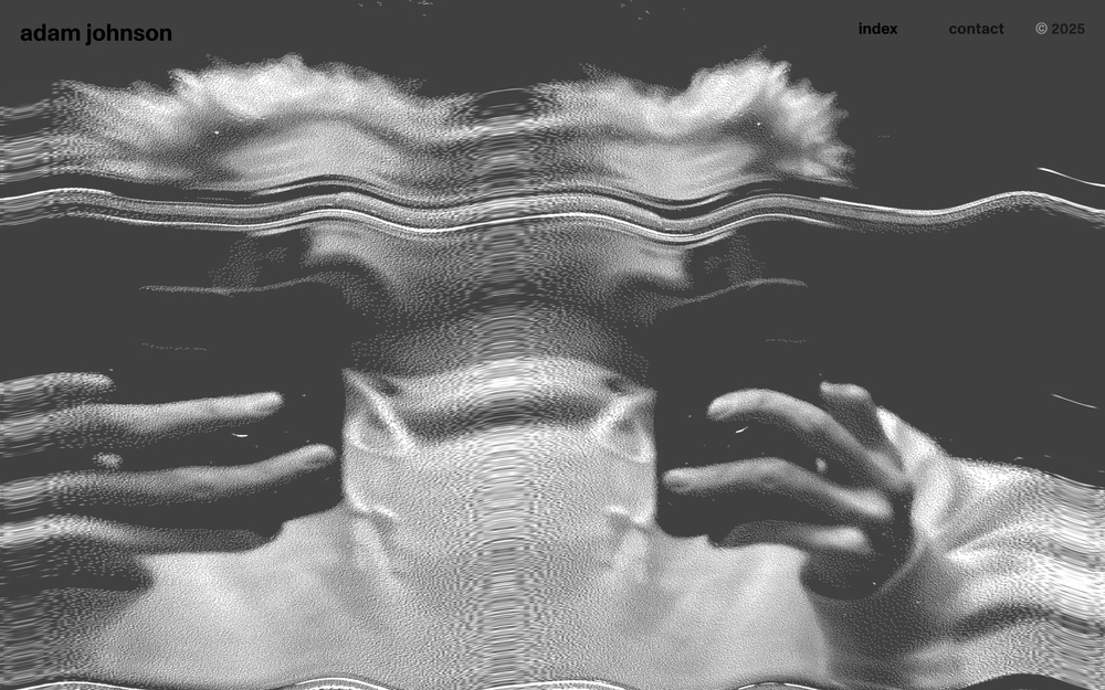 Index — Adam Johnson's Work