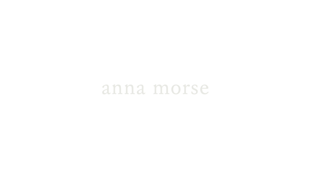 anna-morse.com