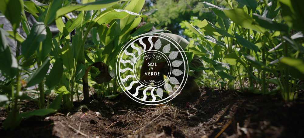 Organización Ecológica Sol y Verde